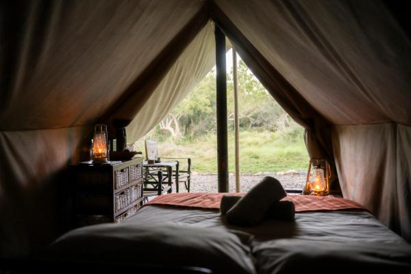 Quatermain's 1920's Safari Camp – Amakhala Game Reserve - Western Cape