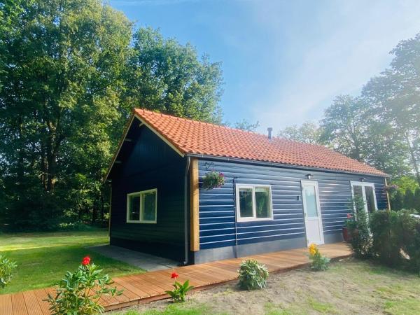 Morning Glory, Huisje Forest - Apeldoorn