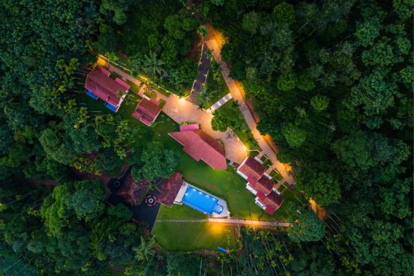 Theyila Wayanad Premium Pool Resort - Kerala