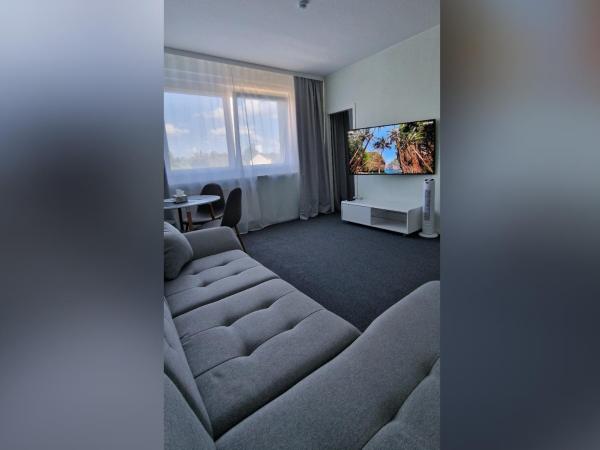 Citycenter Apartment - Bigtv-ps4-netflix-parking - Chemnitz