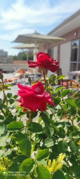 Illyrian Apartment Sun - Albania