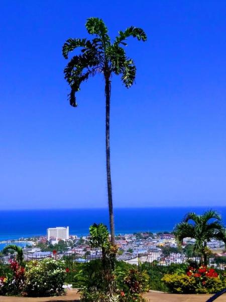 Chika Villa - Ocho Rios