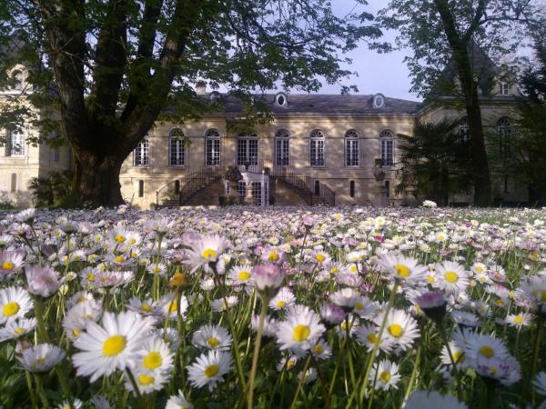 Chambres D'hotes La Chartreuse Des Eyres - Langon
