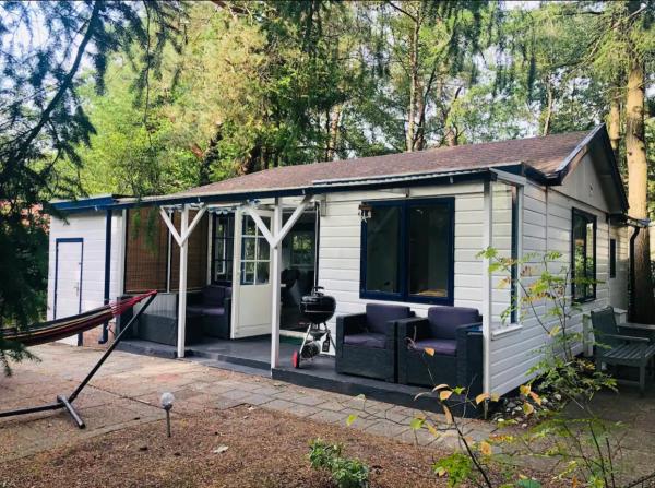 Forest Cottage Hattem - Zwolle