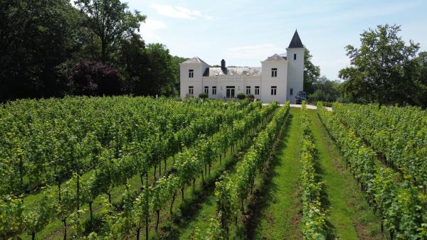 Wijnkasteel Haksberg - Vlaams-Brabant