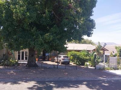 The Tree House - Grabouw