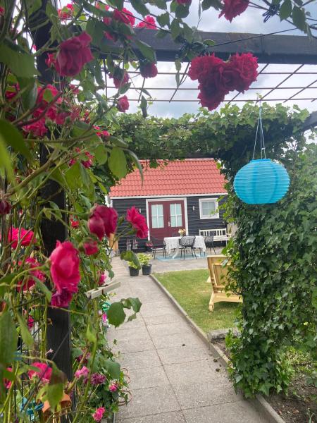 Bed En Brochje De Oase - Leeuwarden