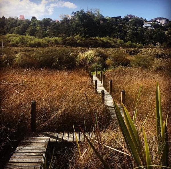 Uniqueness - Bay of Plenty