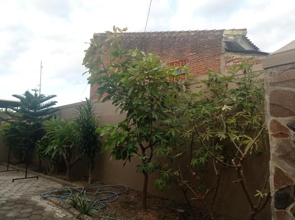 Ozan Hostel - Banyuwangi