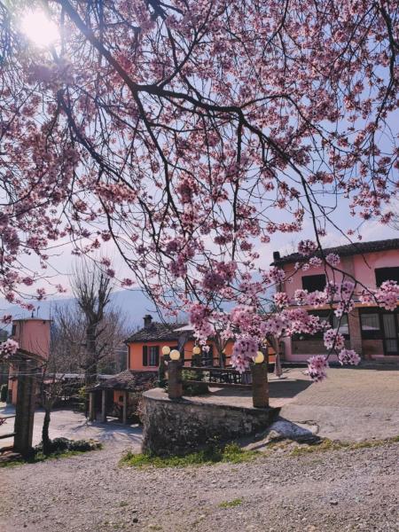 Agriturismo Villa Enrichetta - Piacenza