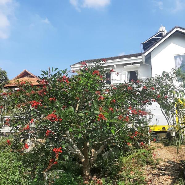 Mia Villa Đà Lạt - ダラット