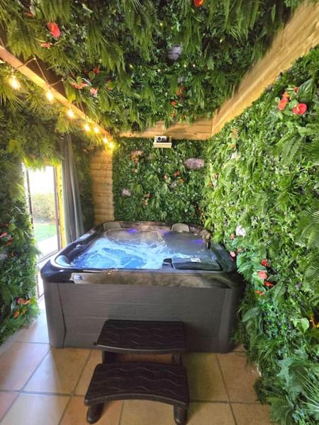 Maison Avec Spa Et Piscine - Haute-Garonne