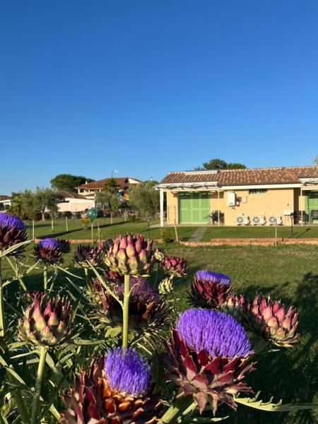 Il Giardino Di Nunzia - Grosseto