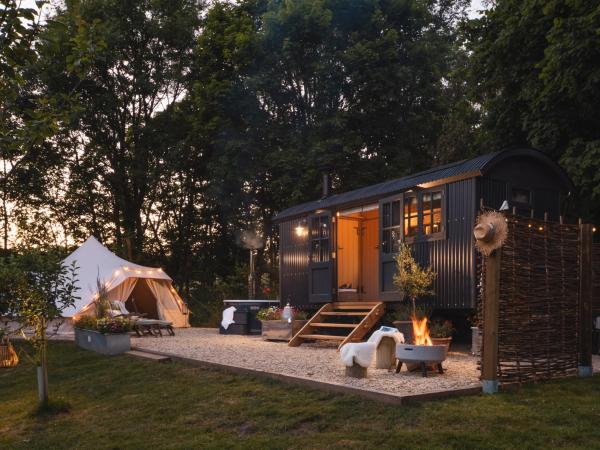 Moonshine - 康瓦耳