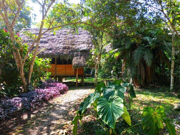 Cabañas Awana - Napo