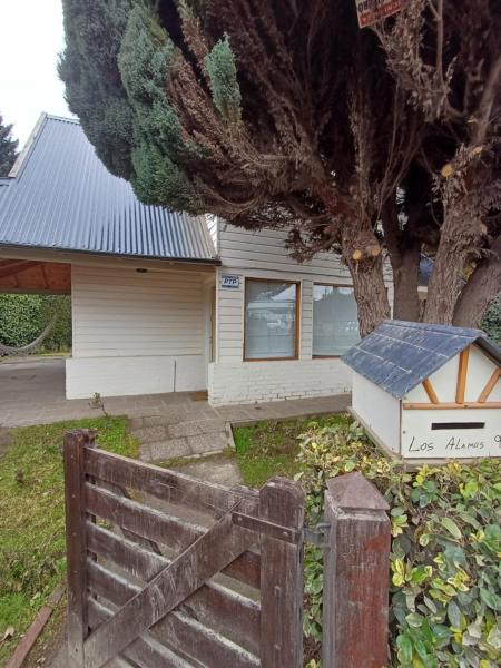 Rosas De Gloria - San Martín de los Andes