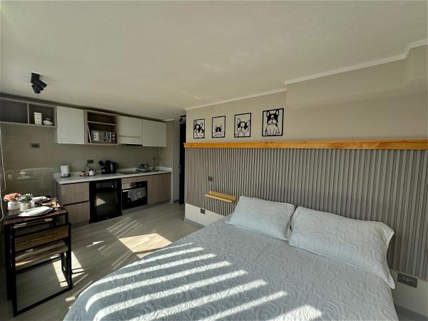 Departamento Santiago - Providencia, Chile
