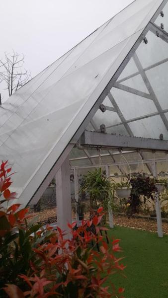 Ibex Resorts, Valparai Mistly -