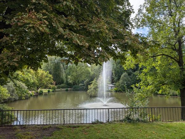 Wohnung Am Kasinopark - Bad Rothenfelde