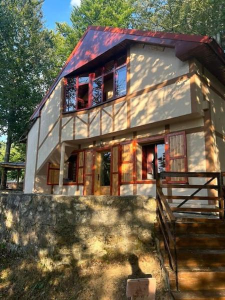 Jovana's Forest Cottage - Montenegro