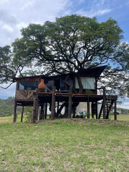 Hangar 5 La Casita Del Arbol - Mexico