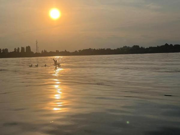 Lotus Retreat - Snagov