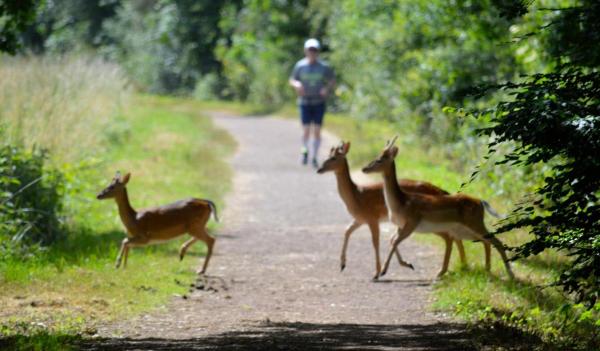 Cosy Attic Flat East London - Enfield