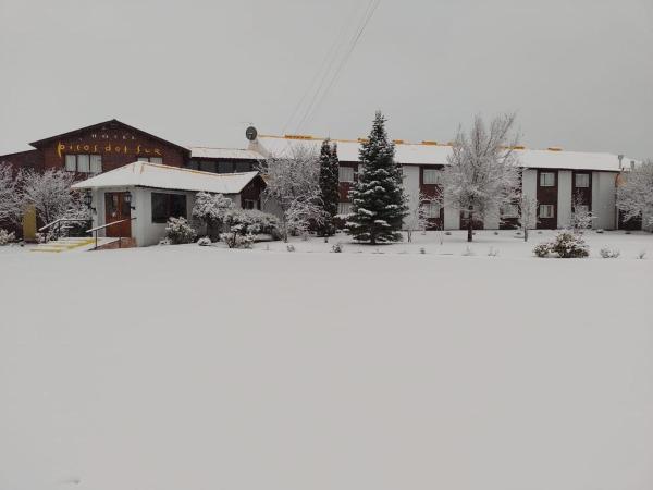 Hotel Picos Del Sur - El Calafate