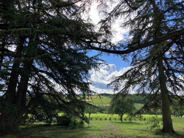 Gîte Les Cèdres - Rhône