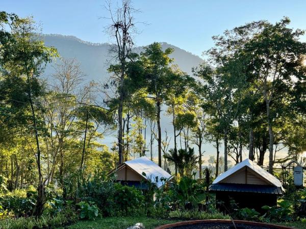 Green Lava Lake View Glamping Bedugul By Ihm - Bali