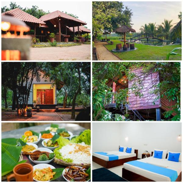 Ceylon Amigos Eco Resort - Sri Lanka