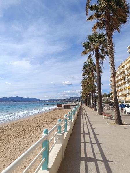 Cocon D'azur - Cannes