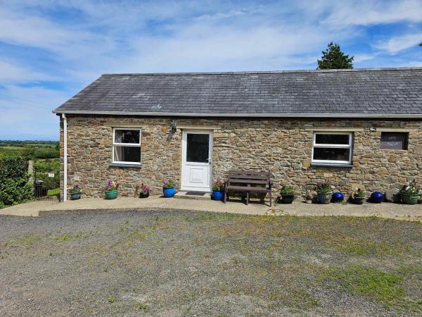 Ddol Cottage Traditional Coastal Cottage Nr Llangrannog & New Quay With Donkeys - New Quay