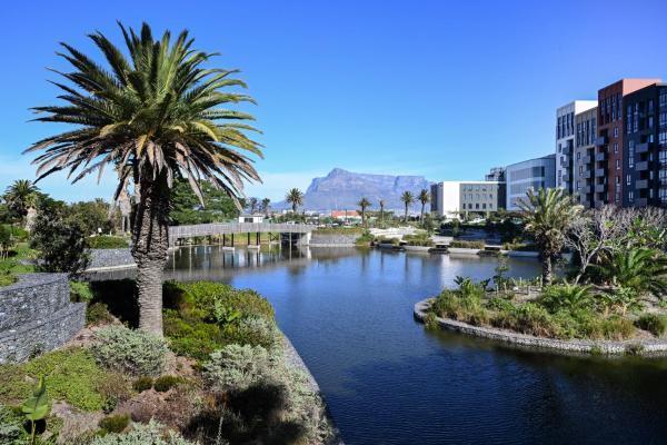Bgs Luxury Accommodation-one Bed-cape Town - Cape Town