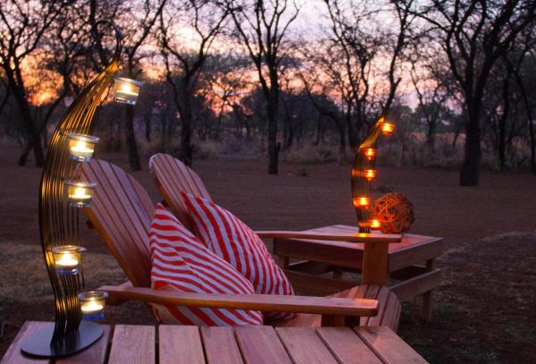 Foreva Wild - Zuid-Afrika