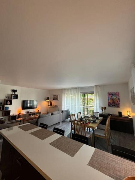 Magnifique Appartement - Saint-Maur-des-Fossés
