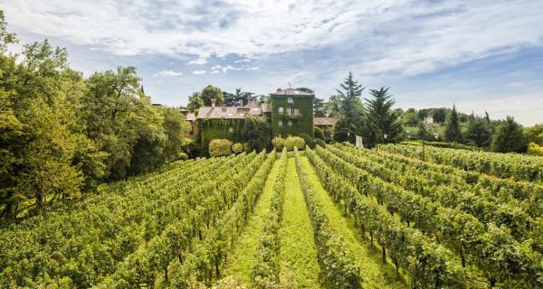 L'albereta Relais & Chateaux - Iseo
