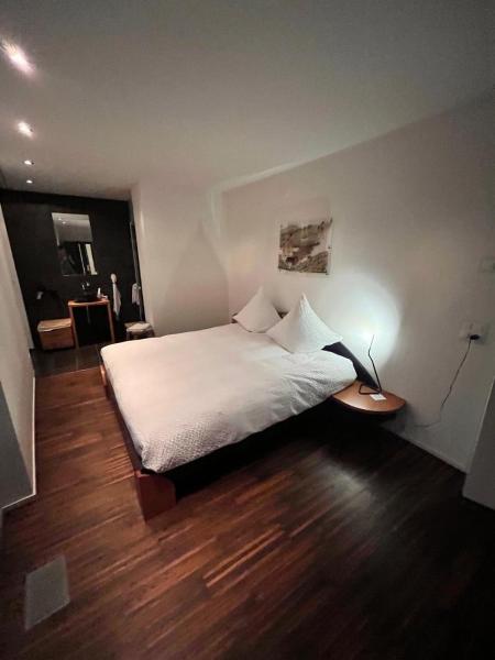 Deluxe Zimmer In Privatwohnung An Zentraler Lage - St. Gallen