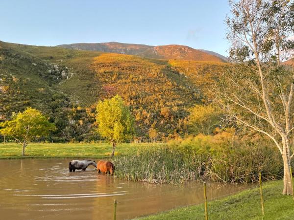 Frog Mountain Getaway - Willow Lodge - South Africa