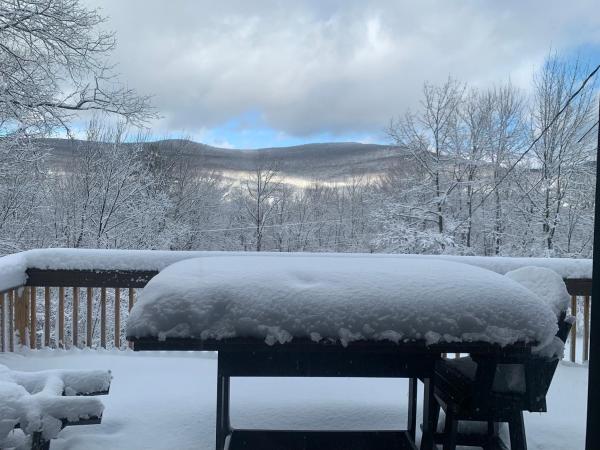 Peaceful Peaks Cabin - Phoenicia, NY