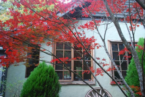 Magnolia Gardens - 2 Perrins Creek Rd Olinda - Dandenong Ranges