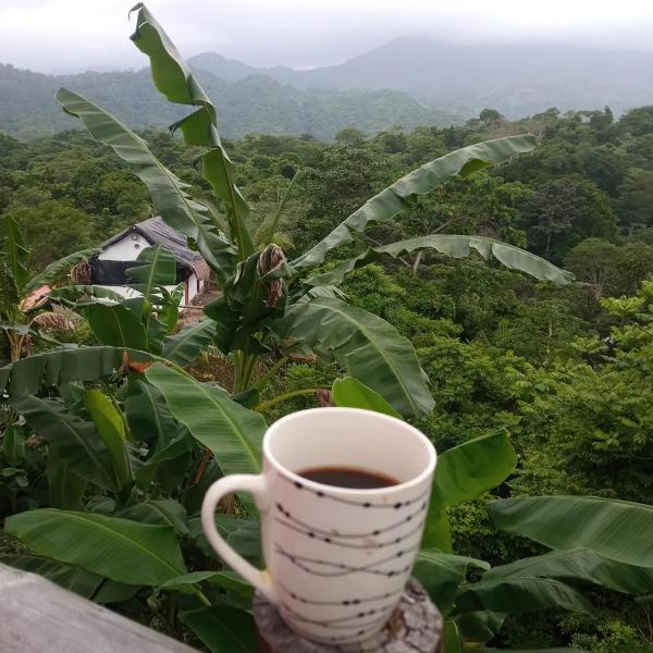 Hostal Mirador Dentro Del Parque Tayrona - Parque Nacional Natural Tayrona