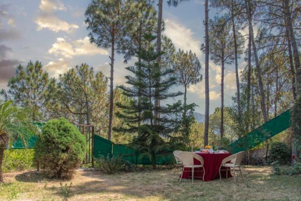 4br Cozy Villa Kasauli Garden Bone Fire Open Terrace Jhula By The North Edge - Solan