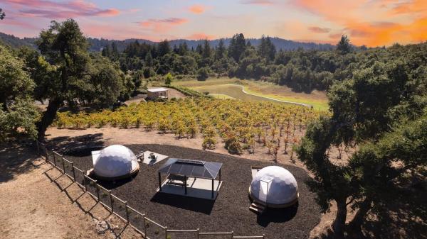 Hilltop Vineyard Dome Glamping - San Jose, CA