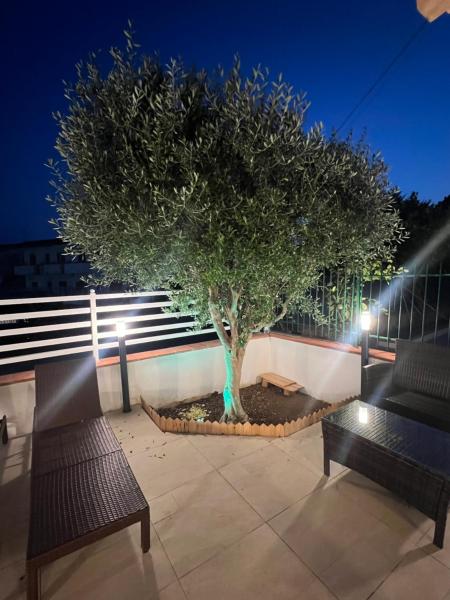 B&b L Ulivo - San Nicola Arcella