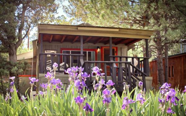 Carter`s Charm Cabin - Ruidoso, NM