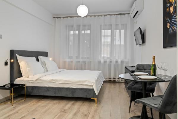 New Studio Cismigiu Park Near Old City - Bucharest
