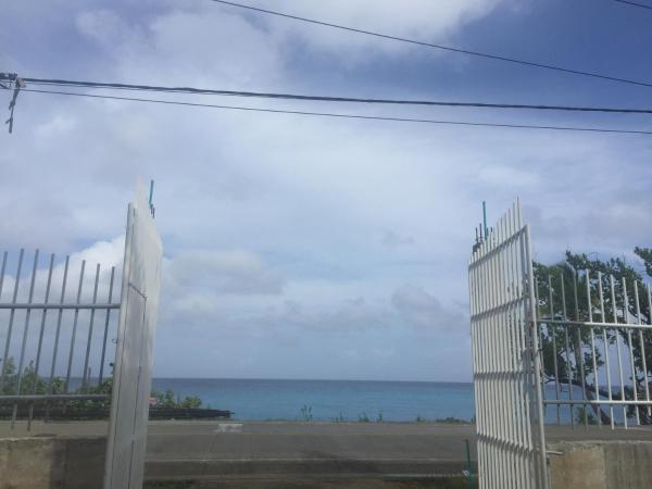 Cristina Reeves Kelly - Caribbean