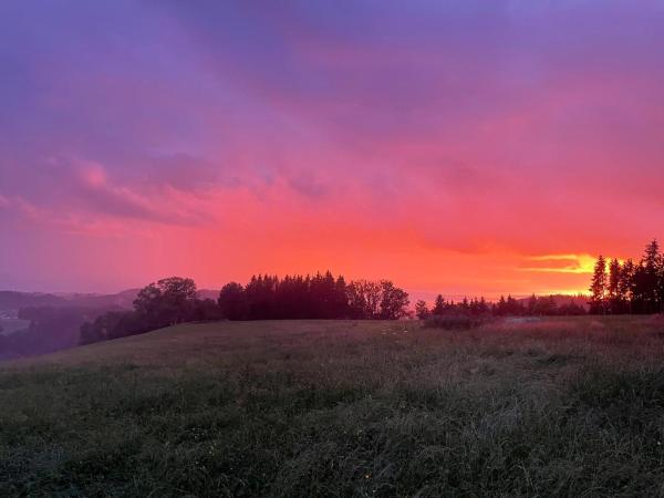 Gronewald's Mountain View Holidays - Stiefenhofen