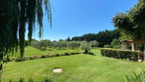 Feelyn Art - Lourmarin